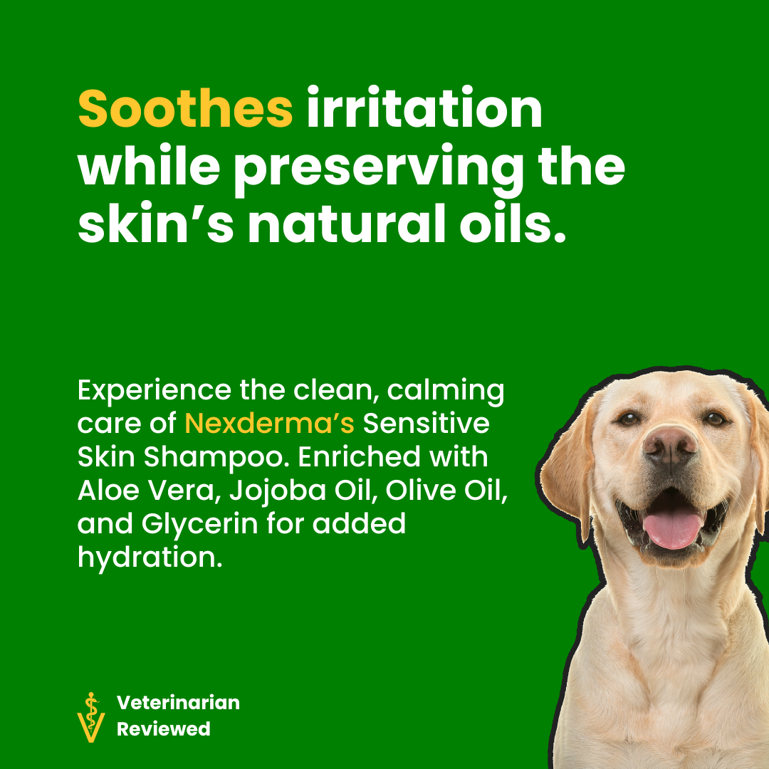 Nexderma® Sensitive Skin Shampoo | Hypoallergenic with Hydrocortisone